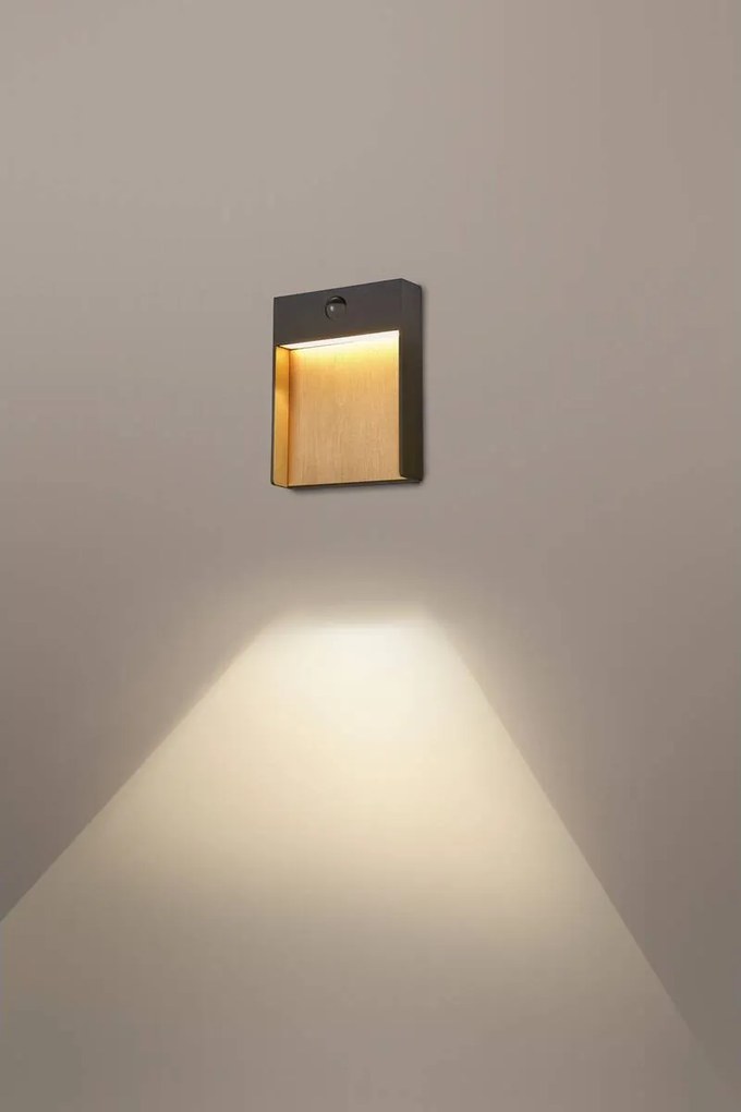 LA 1002955 FLATT SENSOR Outdoor, nástěnné LED svítidlo, 3000K, IP65, antracitové/hnědé - BIG WHITE (SLV)