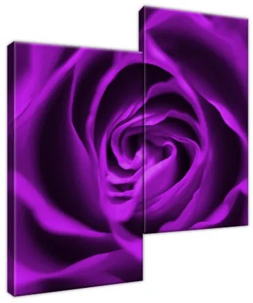 Tištěný obraz Fialová růže 60x60cm 635A_2J