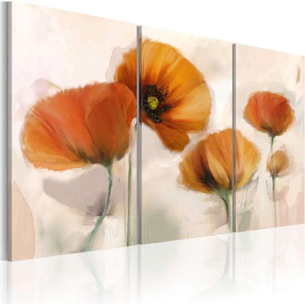 Obraz na plátně Bimago - Artistic poppies - triptych 60x40 cm