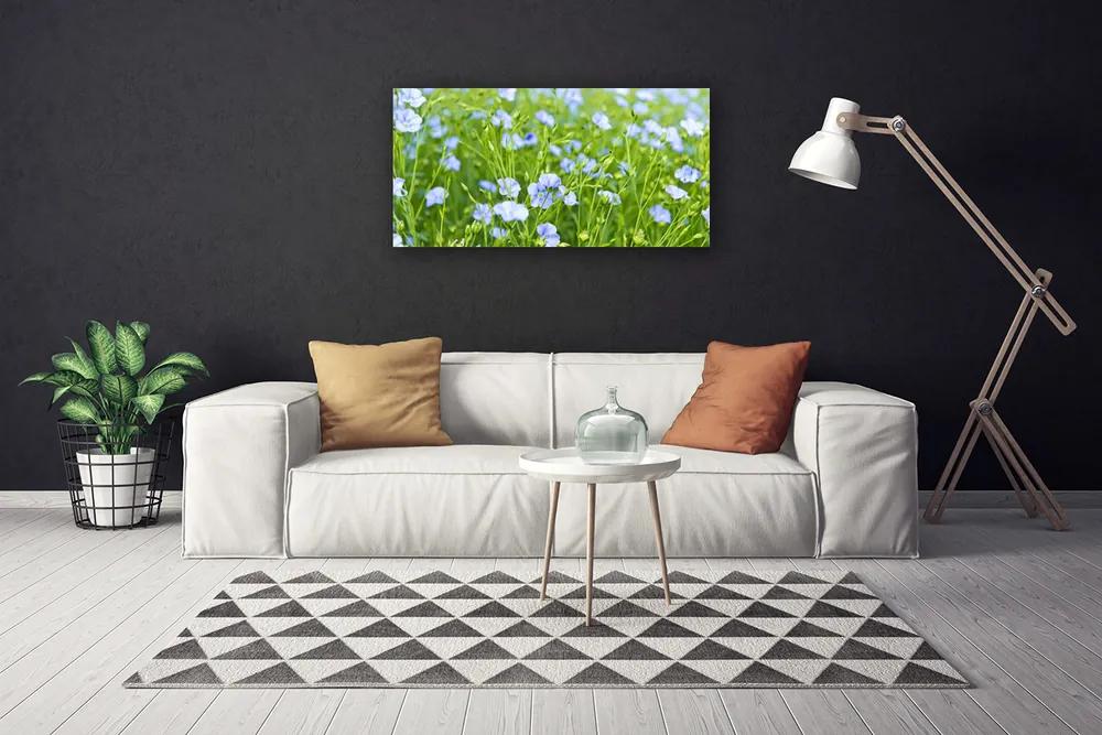 Obraz na plátně Květiny Tráva Rostlina Příroda 120x60 cm