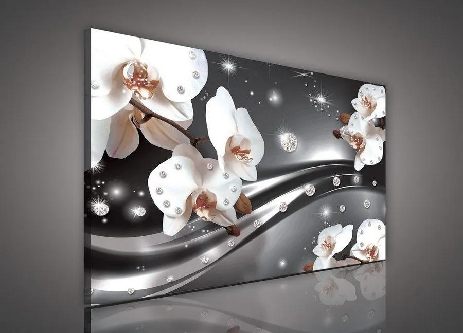 Postershop Obraz na plátně: Orchideje a abstrakce - 75x100 cm