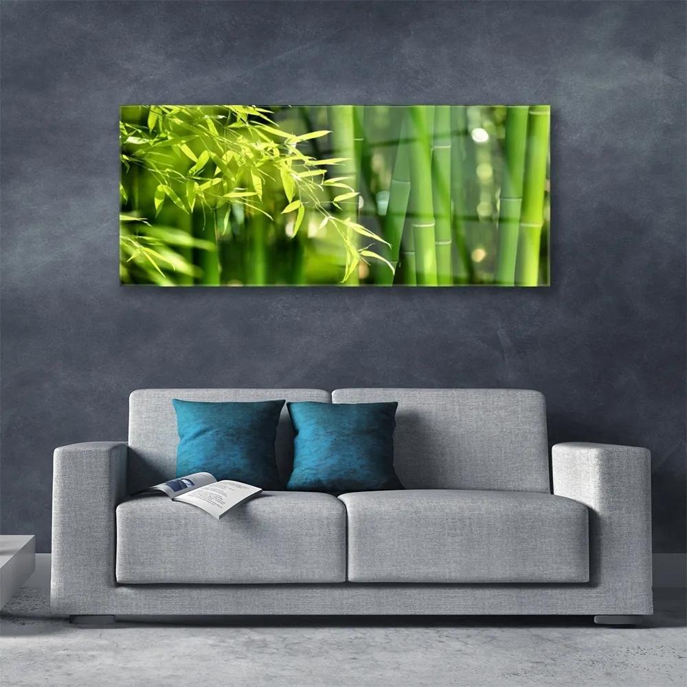 akrylový obraz Bambus Listy Rostlina 125x50 cm