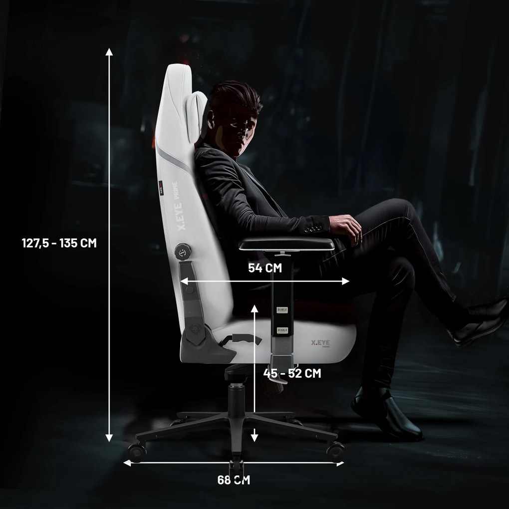 Herní židle bílá Normal Size: Diablo X-Eye Prime Ghosted White
