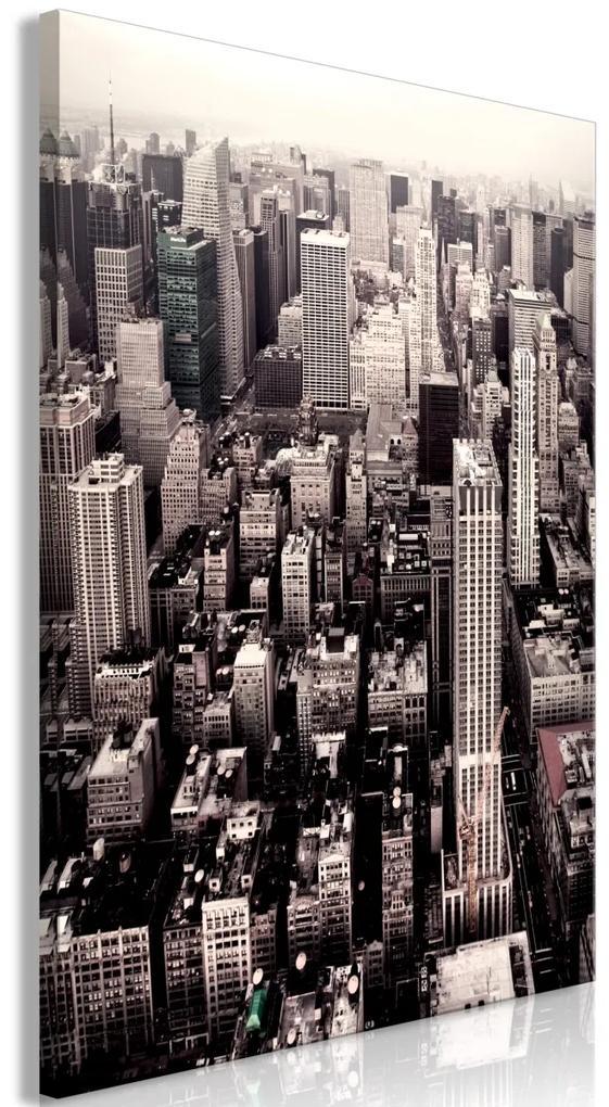 Obraz - Manhattan In Sepia (1 Part) Vertical