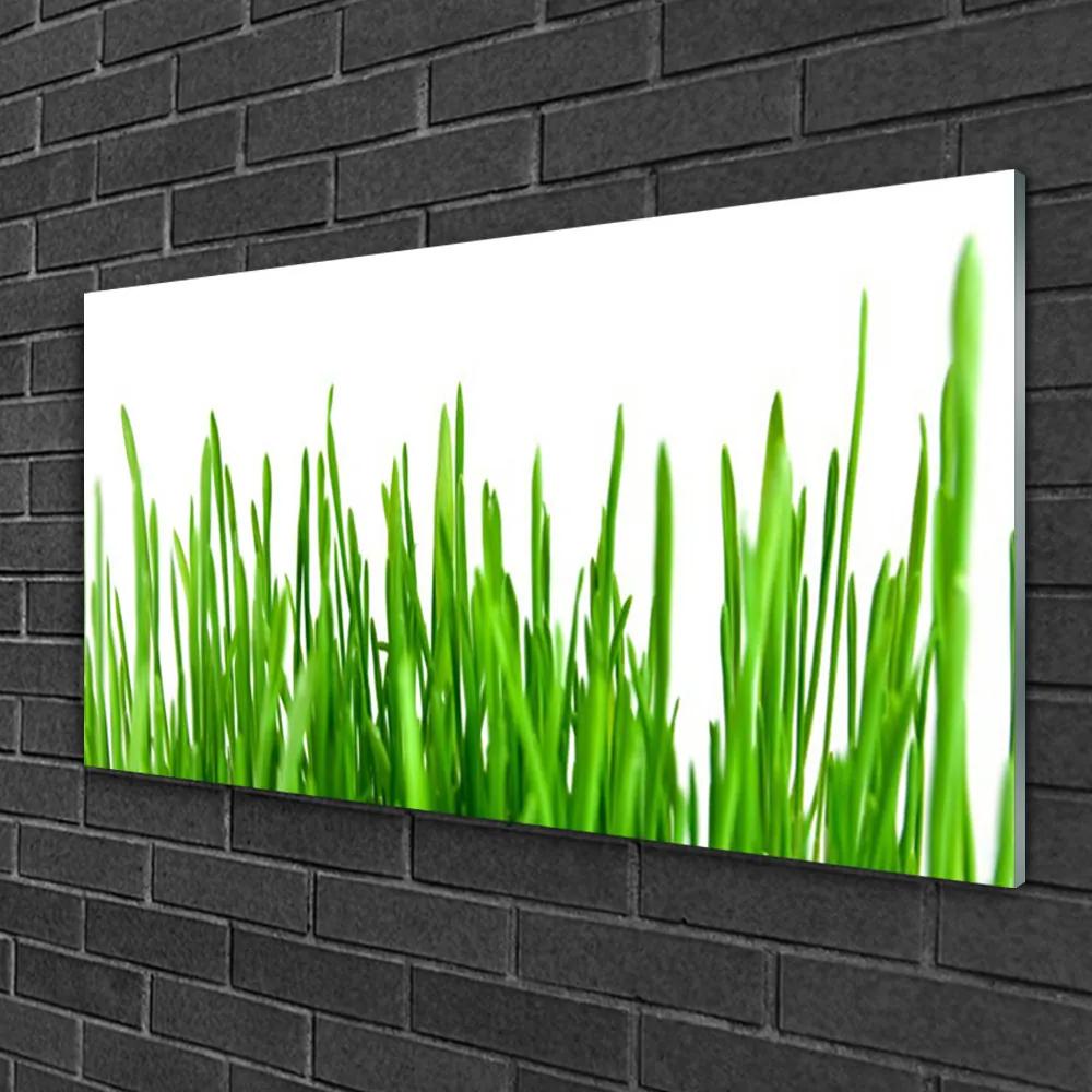 Obraz na skle Tráva Rostlina Příroda 125x50 cm