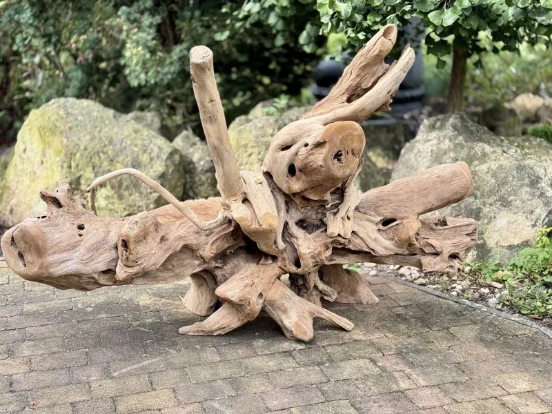 Královské křeslo z teakového kořene 195 cm – jedinečná lavice