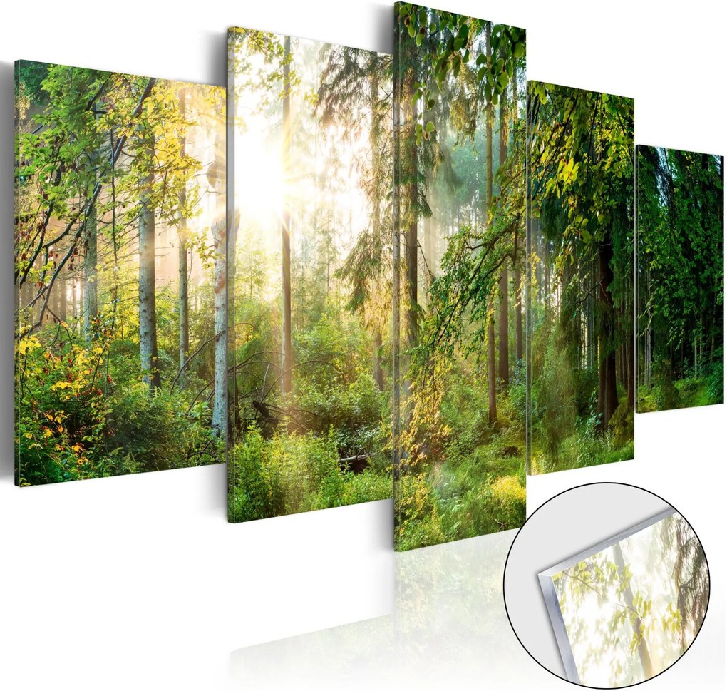 Obraz na akrylátovém skle - Green Sanctuary [Glass] 100x50