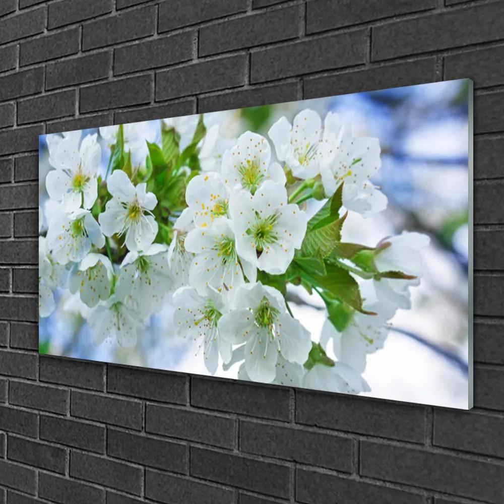 Obraz na skle Květiny Strom Listy Příroda 120x60 cm