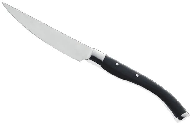 Tomgast, Nůž steakový 250 mm