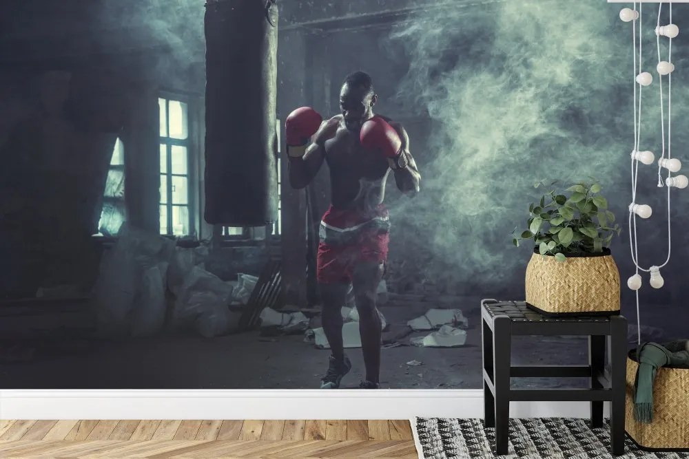 Fototapeta Boxer V Zakouřené Místnosti Hladký vinyl 104x70.5