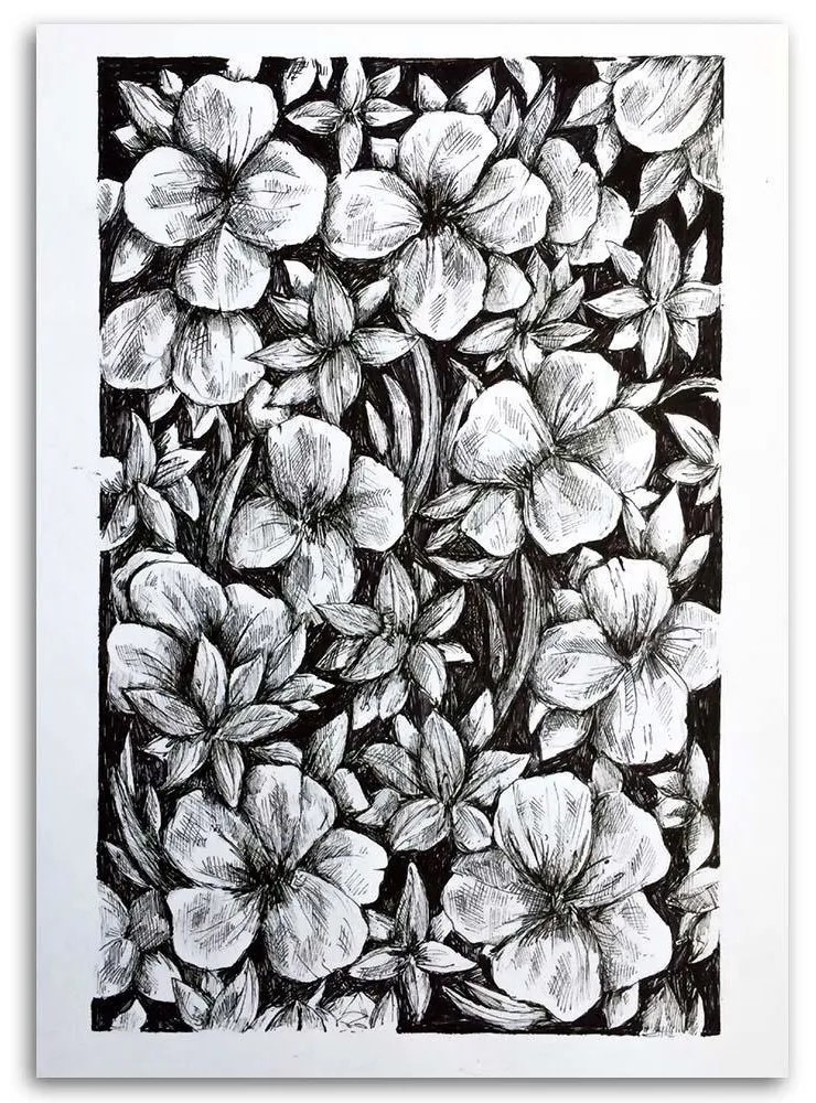 Gario Obraz na plátně Skica květin na louce - Jan Perit Kablan Rozměry: 40 x 60 cm