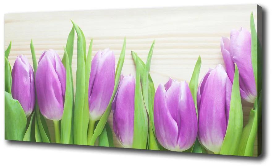 Wallmuralia Foto obraz na plátně Fialové tulipány 100x50