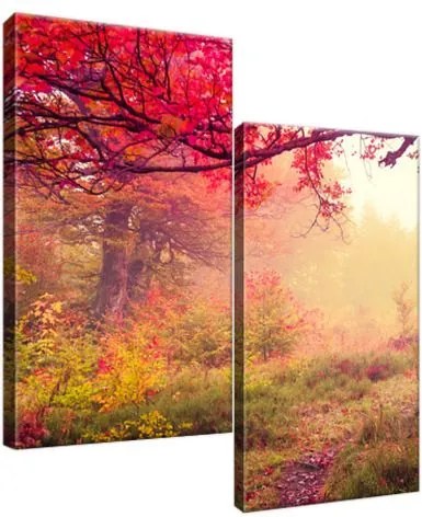Tištěný obraz Podzimní příroda 60x60cm 2510A_2A