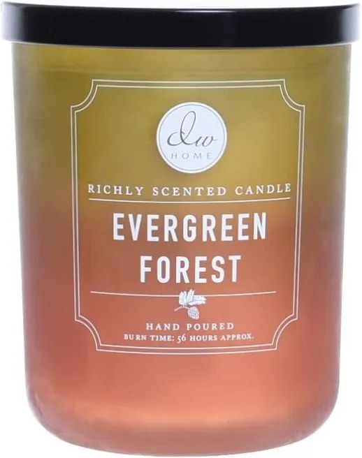 DW Home Vonná svíčka ve skle Jehličnatý les - Evergreen Forest, 15oz