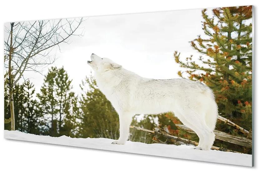 Obraz na skle Vlk v zimě lese 140x70 cm