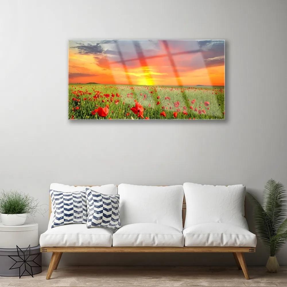 Obraz na skle Máky Slunce Rostlina Příroda 140x70 cm
