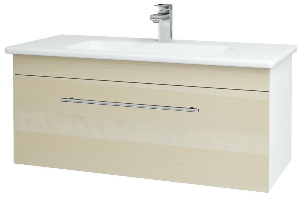 Dřevojas - Koupelnová skříň ASTON SZZ 100 - N01 Bílá lesk / Úchytka T02 / D02 Bříza 131036B