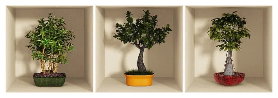 Sada 3 samolepek s 3D efektem Ambiance Bonsai Trees
