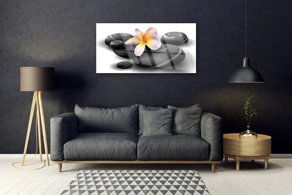 Obraz na skle Květiny Kameny Příroda 100x50 cm