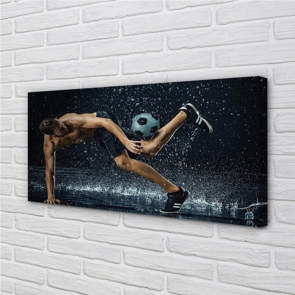 Obrazy na plátně Míč Rain Man 100x50 cm