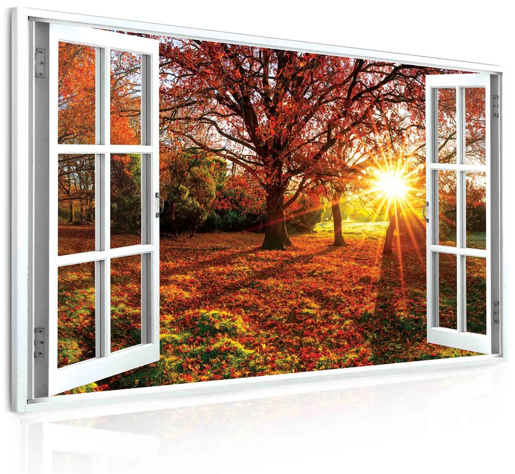 Malvis ® Obraz okno podzimní sluníčko Velikost (šířka x výška): 90x60 cm