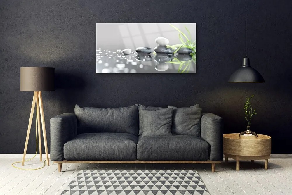 akrylový obraz Kameny Tráva Umění 100x50 cm