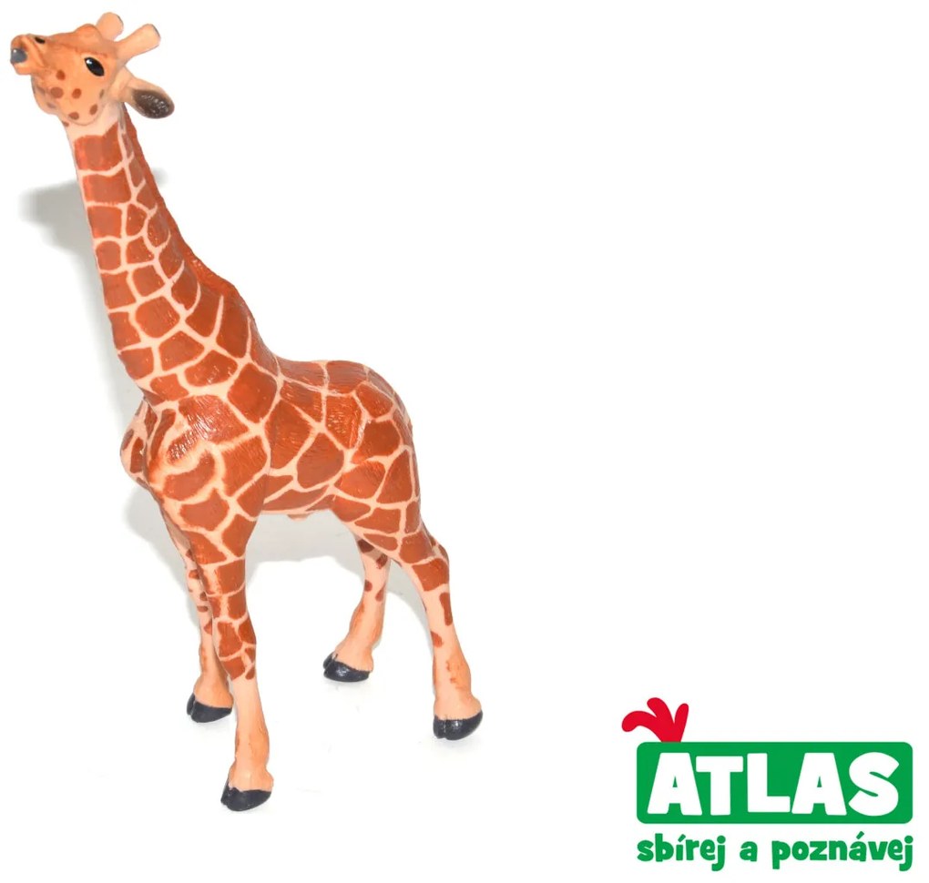 Atlas Figurka Žirafa 17 cm
