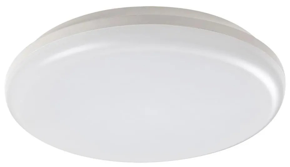 Rabalux 7979 - LED Venkovní stropní svítidlo ERIC LED/24W/230V IP64