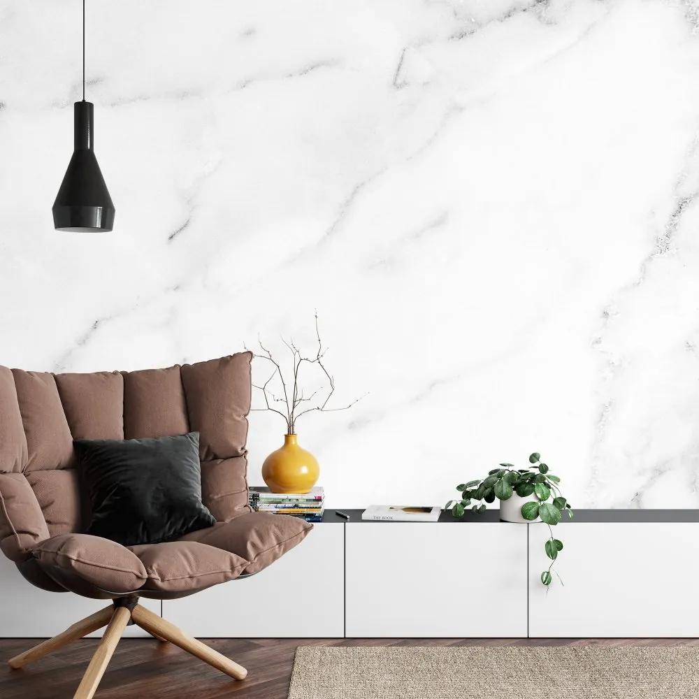 Fototapeta Marble Granite White Background Wall Surface Black Pattern Graphic Abstract Light Elegant Black For Do Floor Ceramic Counter Texture Stone Slab Smooth Tile Gray Silver Natural For Interior Decoration. Vliesová tapeta 416x254
