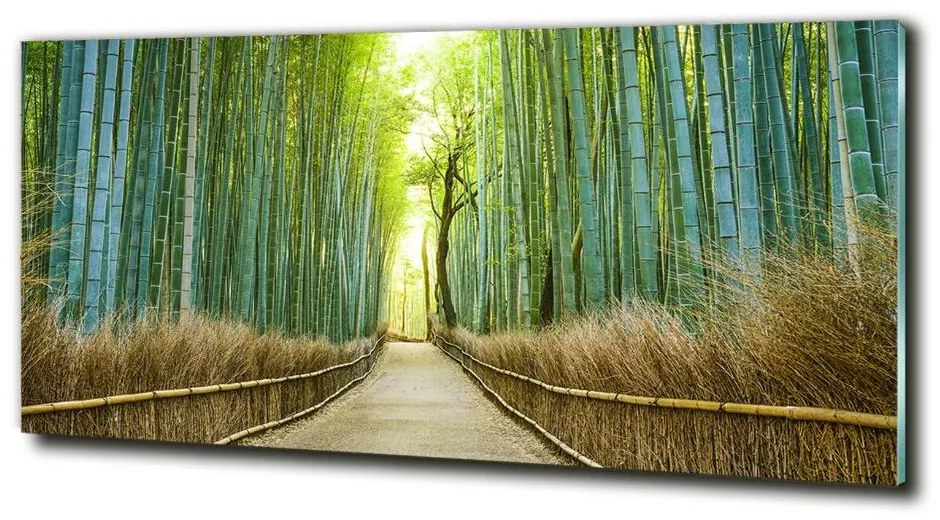 Wallmuralia Fotoobraz na skle Bambusový les 125x50 cm