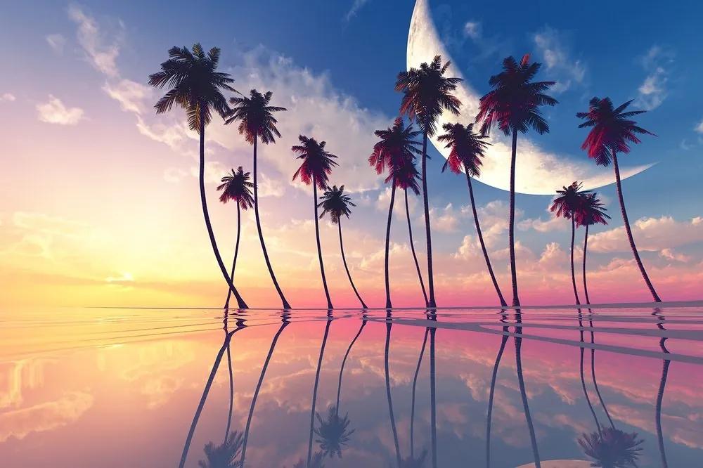 Samolepící tapeta západ slunce nad tropickými palmami - 450x300 cm