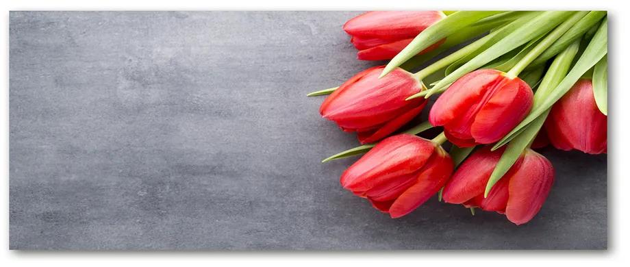 Wallmuralia Foto obraz akrylové sklo Červené tulipány 125x50 cm