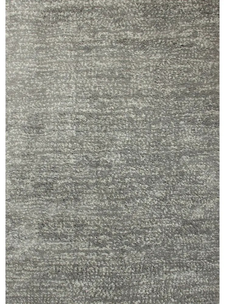 Luxusní kusový koberec Salenda šedý 2, Velikosti 120x170cm
