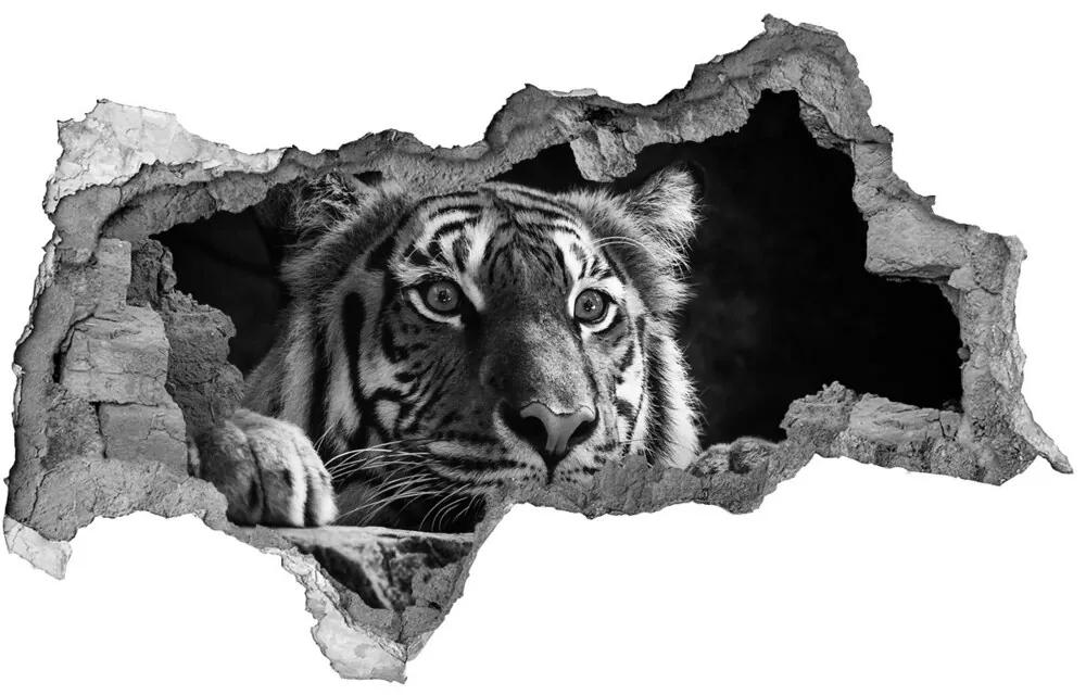 Wallmuralia Díra 3D fototapeta nálepka Tygr 95x73 cm