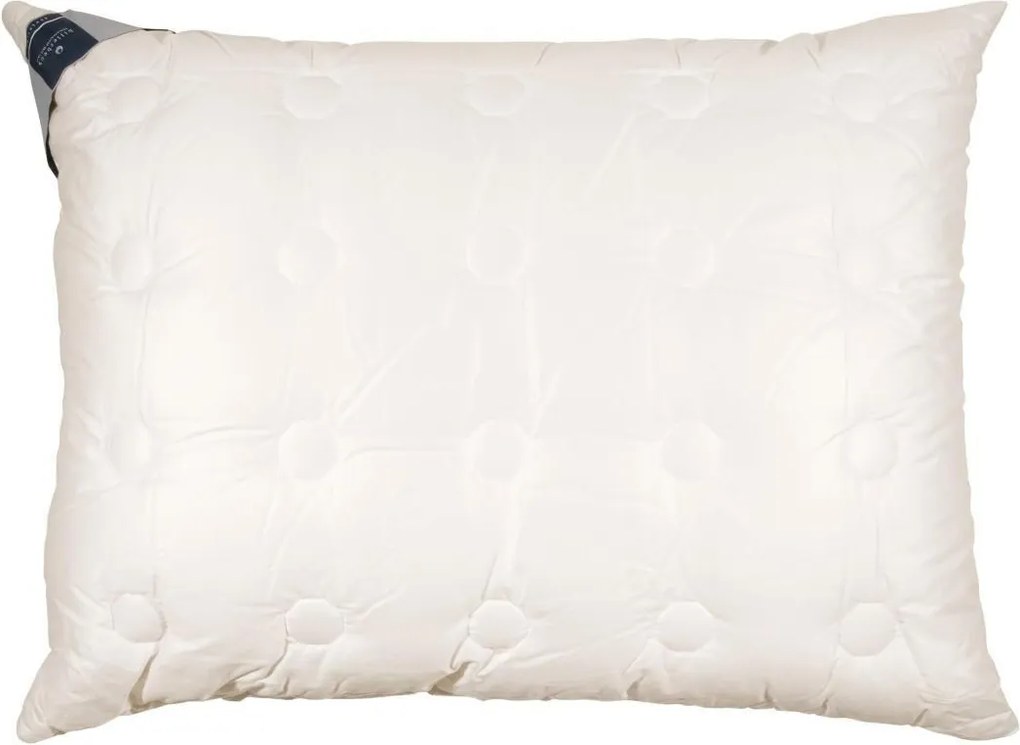 XXXLutz POLŠTÁŘ POD HLAVU, 70/90 cm Billerbeck - Polštáře pod hlavu - 003279012201