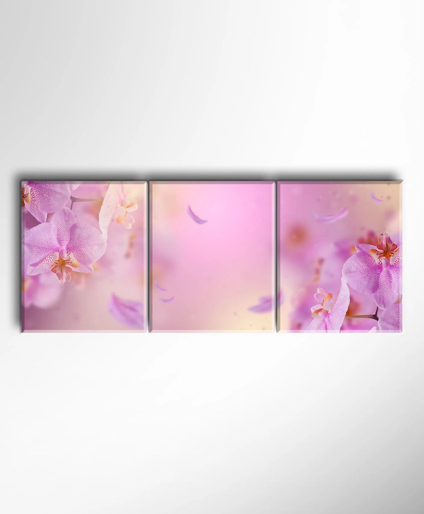 Malvis ® Obraz rozkvetlá orchidej ROZMĚR (šířka x výška): pětidílné schody obdélník 150x75 cm