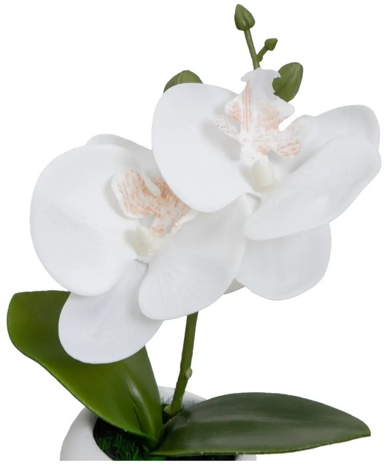 Umělé rostliny v sadě 3 ks (výška 15 cm) Orchid – Casa Selección