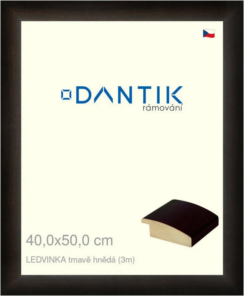 DANTIK rámeček 40x50 | LEDVINKA tmavě hnědá (Sklo Čiré)
