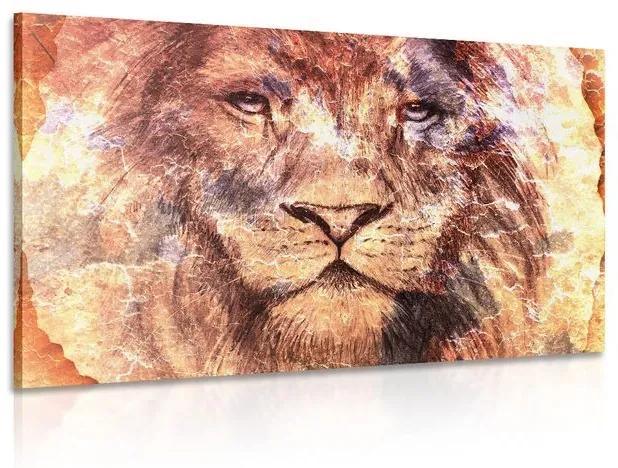 Obraz tvář lva - 120x80 cm