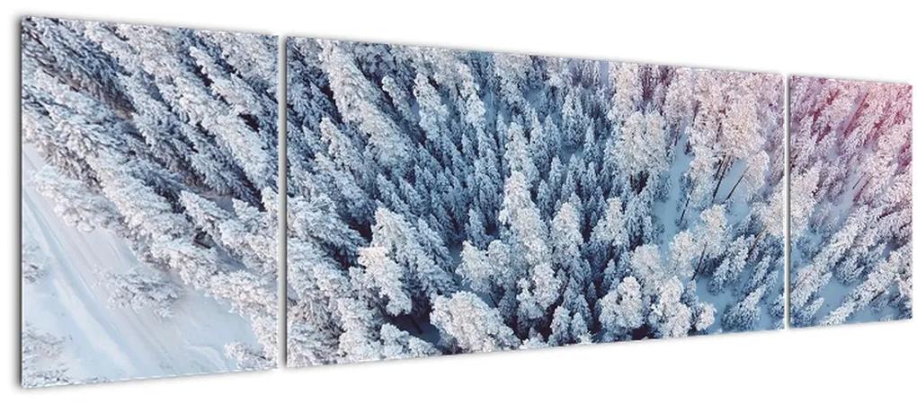 Obraz zasněžených stromů (170x50 cm)