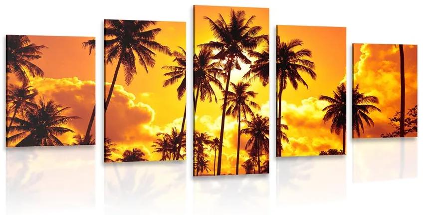 5-dílný obraz kokosové palmy na pláži Varianta: 200x100