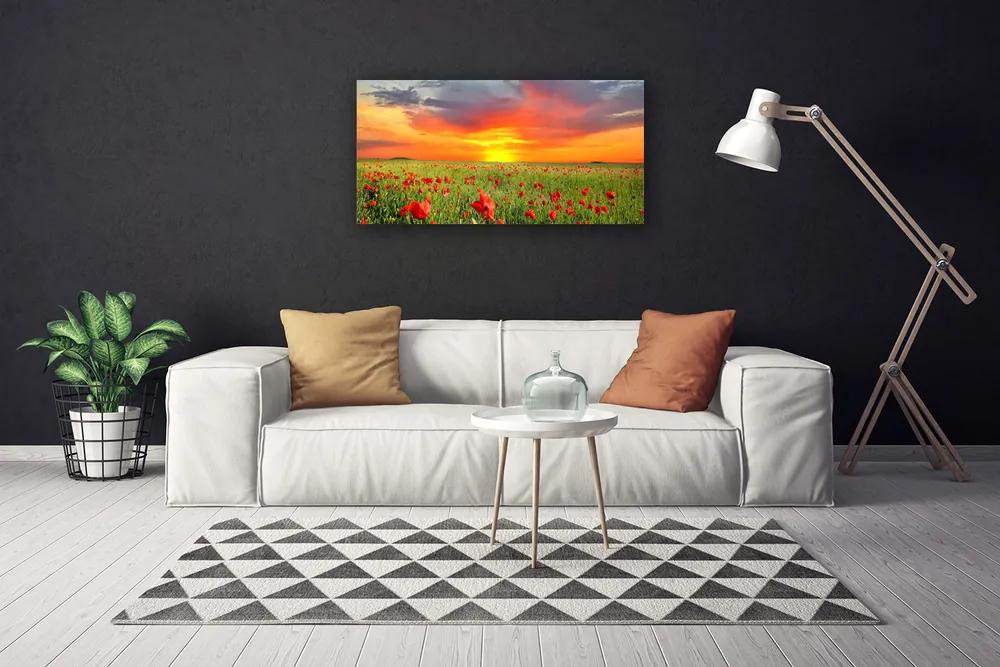 Obraz na plátně Máky Slunce Rostlina Příroda 125x50 cm