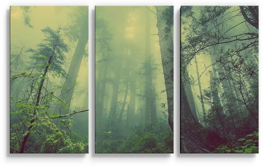 Sablio Obraz - 3-dílný Temný les - 120x80 cm
