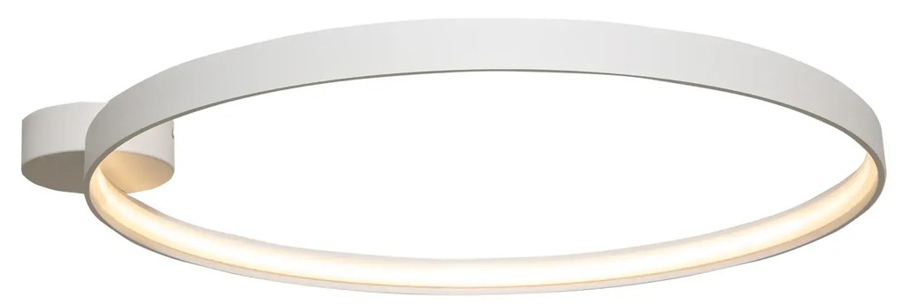Moderní LED stropní lampa Circle 55 bílé