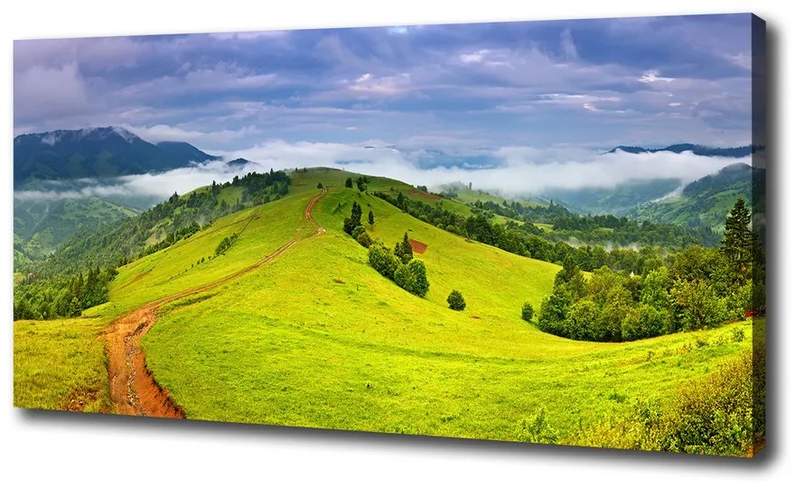 Wallmuralia Foto obraz na plátně Zelené pahorky 100x50 cm