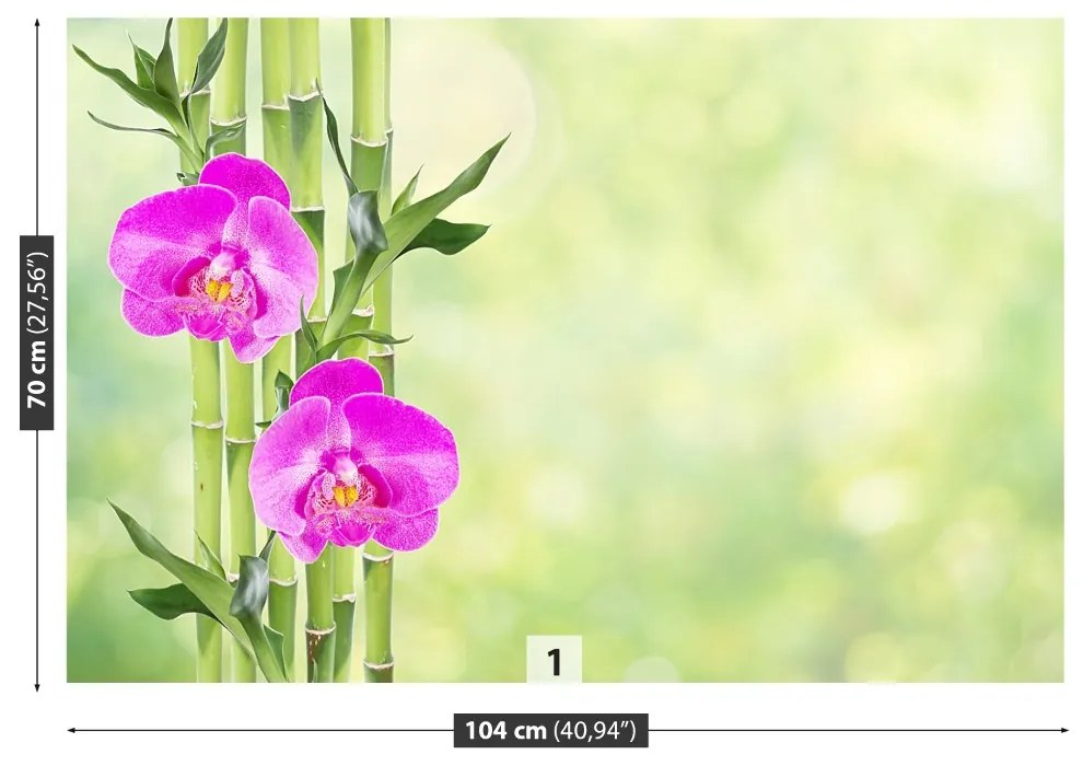 Fototapeta Orchidej a bambus 104x70