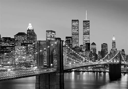 Fototapeta Manhattan Skyline at Night, rozměr 366 cm x 254 cm, fototapety W+G 138