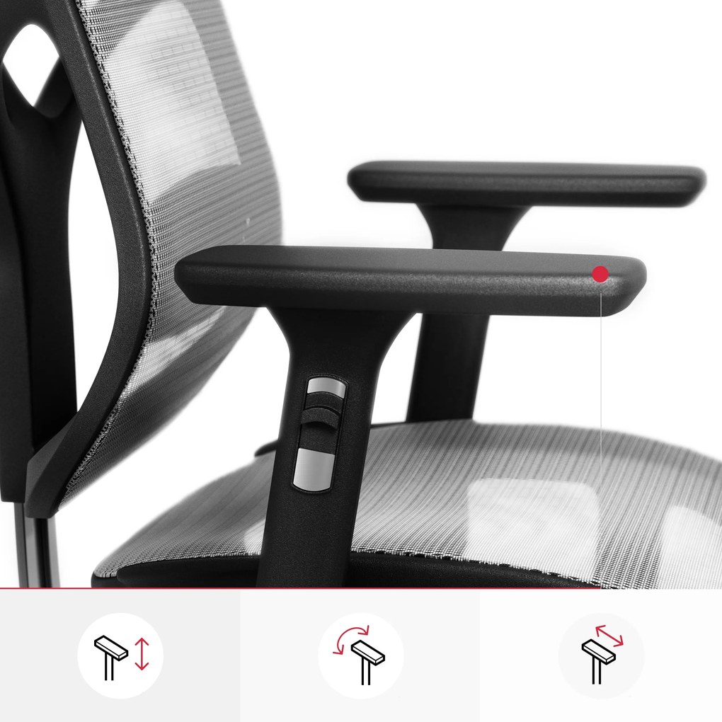 Ergonomická kancelářská židle ze síťoviny, černý-šedý: Diablo V-Basic