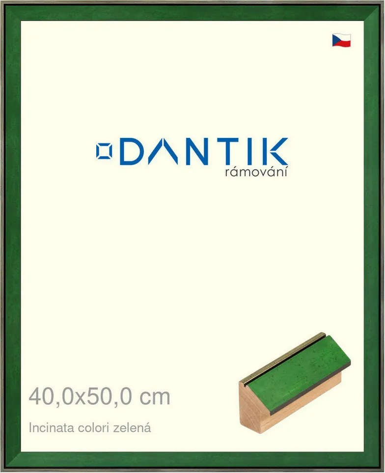 DANTIK rámeček 40x50 | INCLINATA colori zelená (Sklo Čiré)