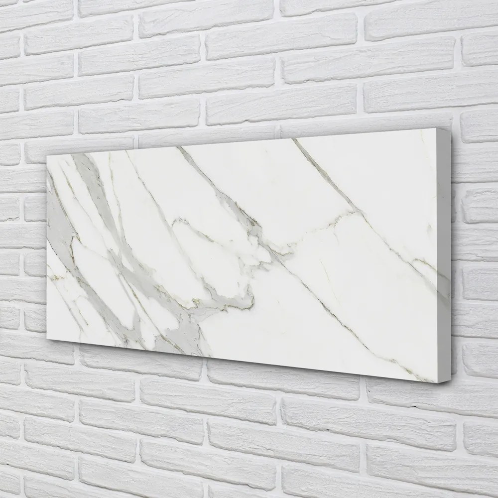 Obrazy na plátně Marble kámen skvrny 100x50 cm